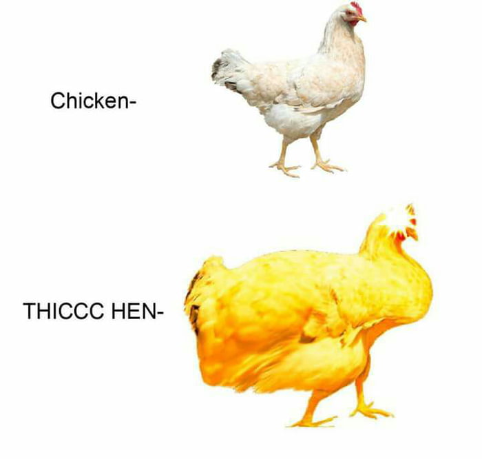 T H I C C - 9GAG