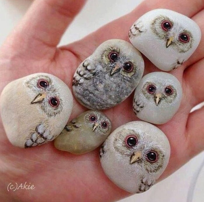 Owl Stones - 9GAG