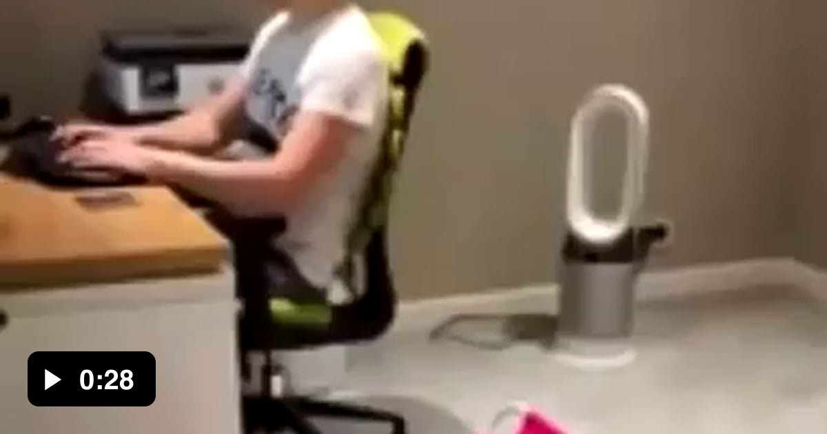 Kitty is working hard,she is very hard working - 9GAG