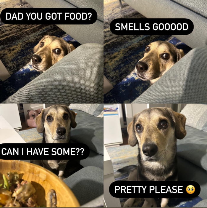 Every Single Meal - 9GAG