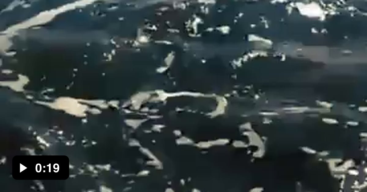 what-the-hell-is-in-this-murky-water-9gag