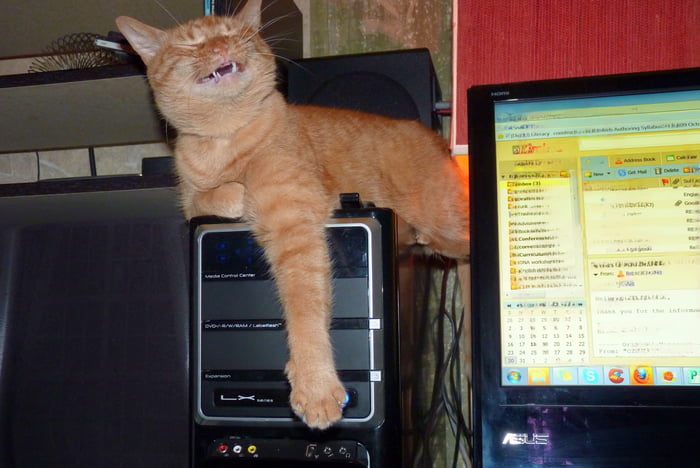 You want to use your computer? HaHaHa! - 9GAG