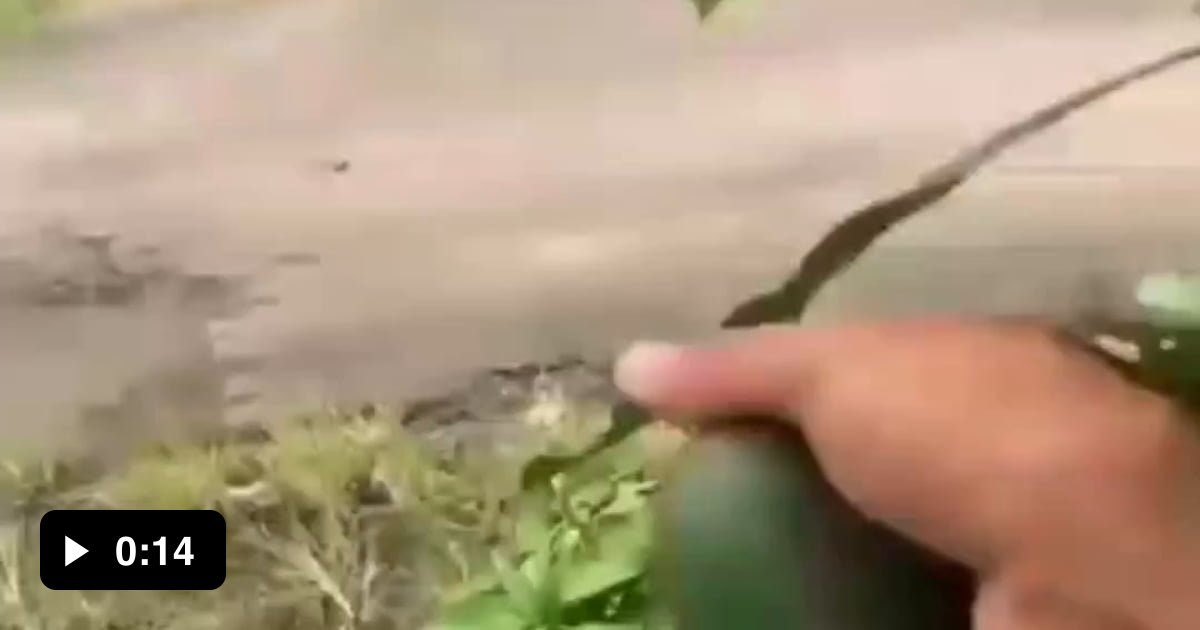 Fresh legit delisioso - 9GAG