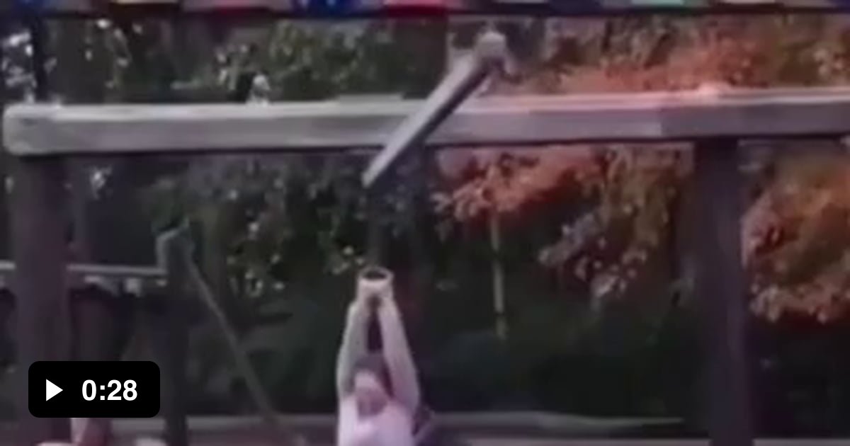 Lesson for the day: If life makes you fall, stand up with the energy of ...