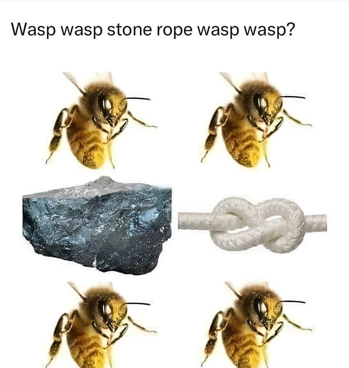 Wasp Wasp stone - 9GAG