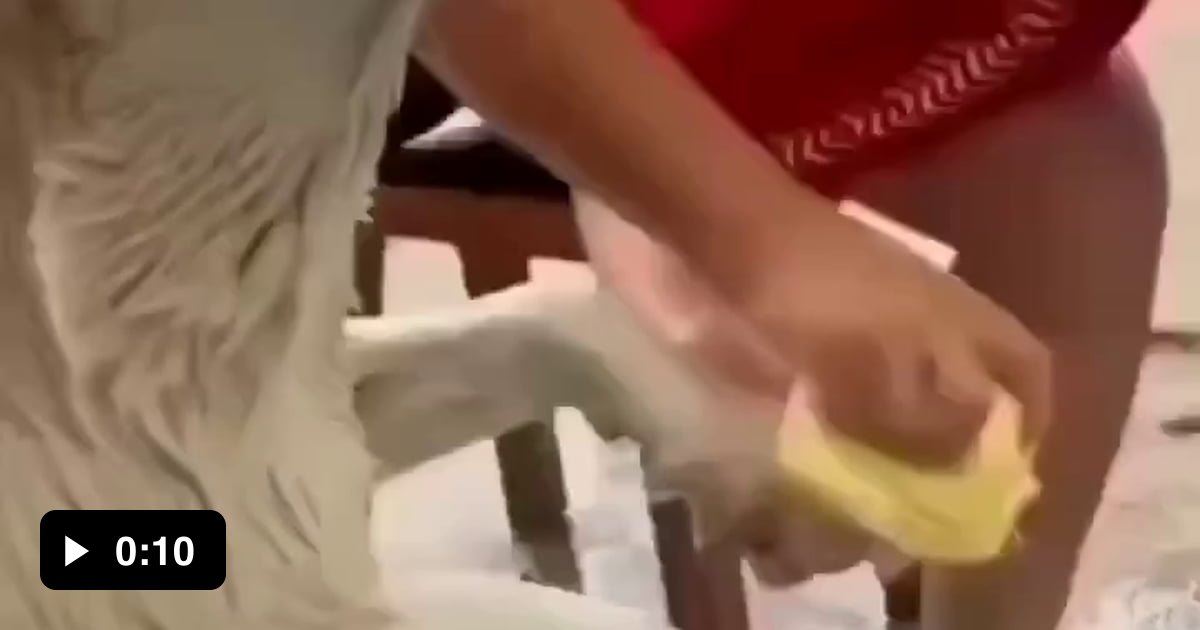 Hit That Spot Again 9gag