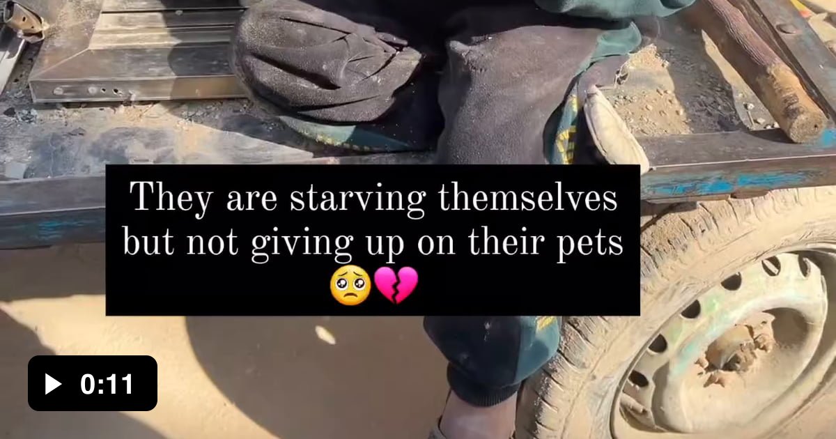 Although food is a rare commodity, he did not forget to share - 9GAG