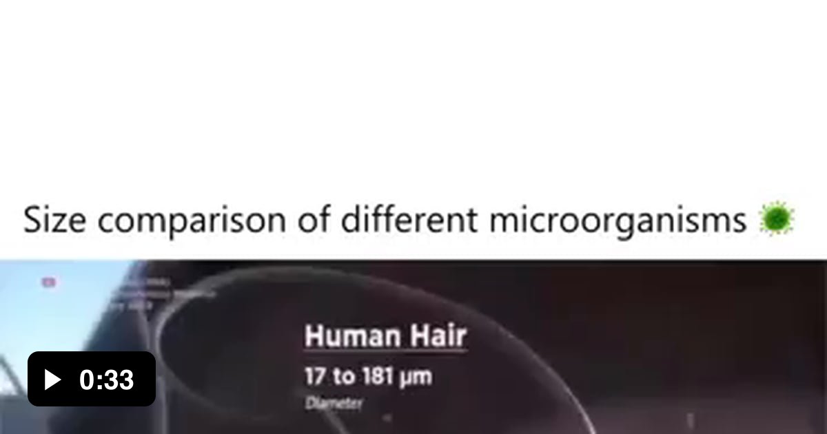 Size comparison of Micro-organisms from human hair to viruses - 9GAG