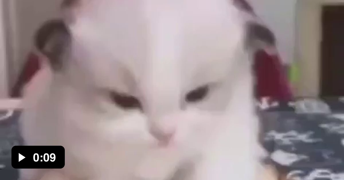 Lil bro just accepted his fate - 9GAG