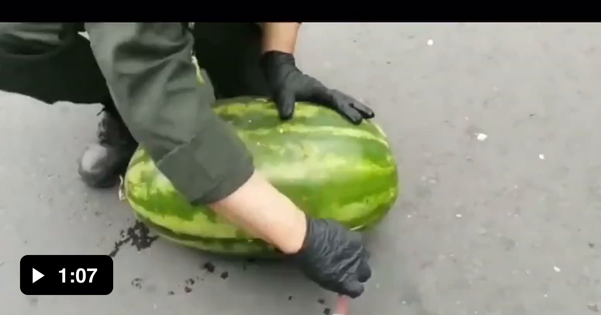 Smuggling Marijuana in Melons - 9GAG