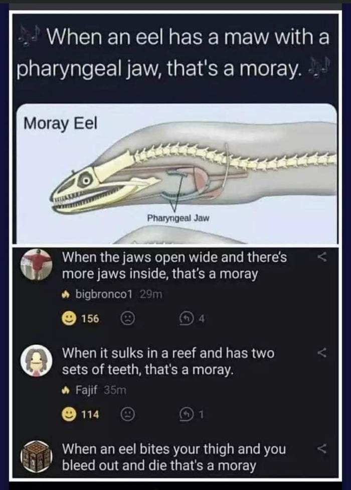 That was eel-luminating…. - 9GAG