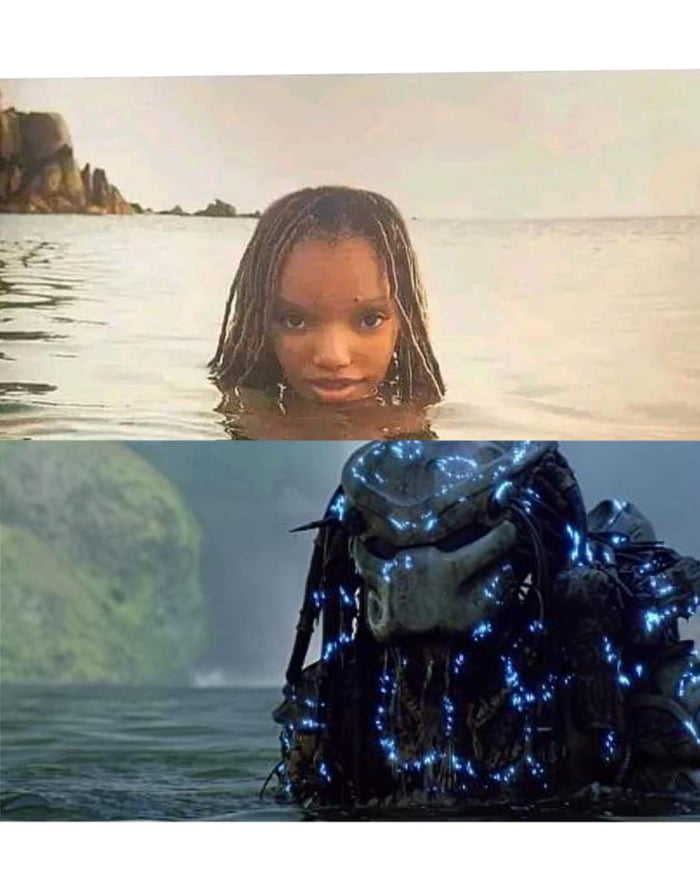 Now the Predator it's really afraid. - 9GAG