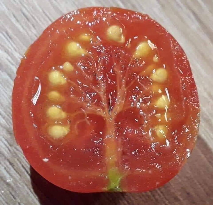 🔥 The inside of this tomato - 9GAG