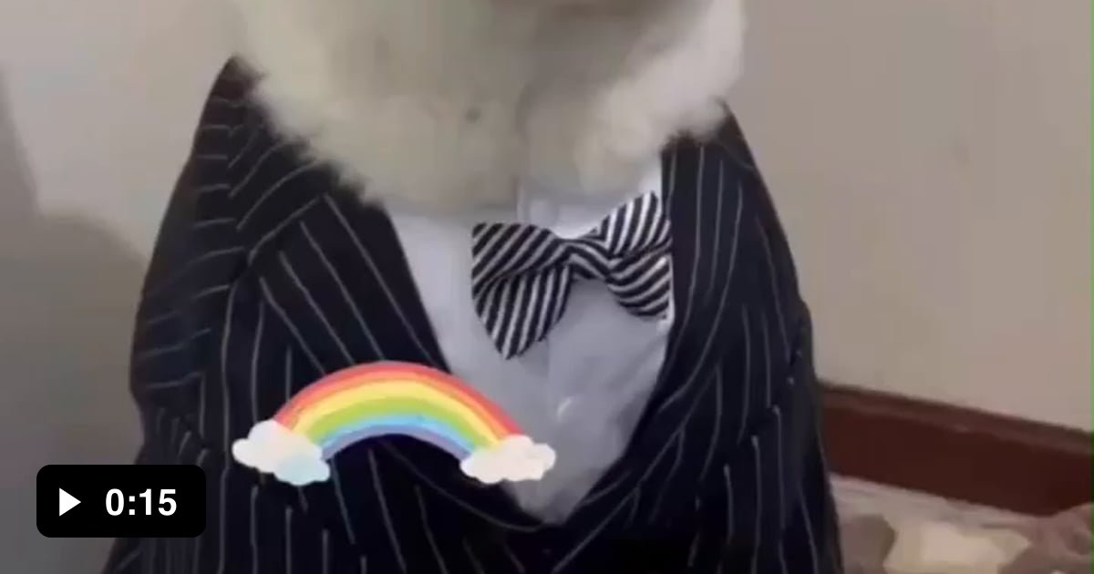 Look at this distinguished Gentleman - 9GAG