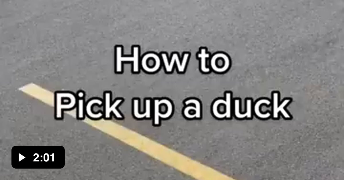 How to pick up a duck - 9GAG