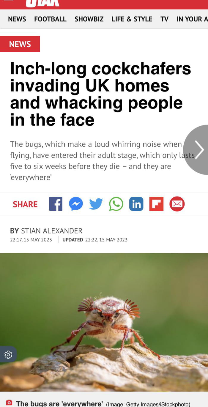 One of the tabloids reporting on the annual Cockchafer invasion - 9GAG