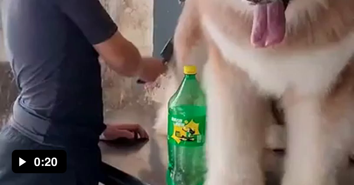 Mega Tippy Taps - 9GAG