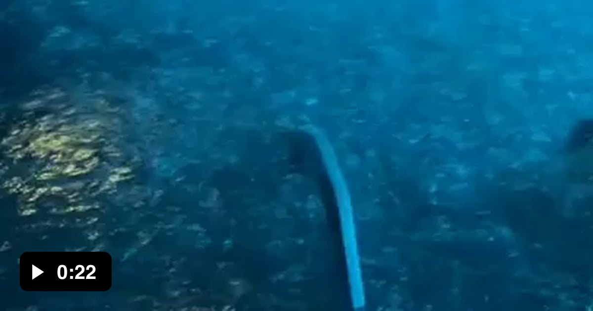 This storm-themed spa room - 9GAG