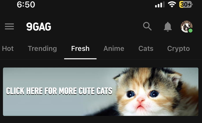 What in the f**k’s name is this? - 9GAG