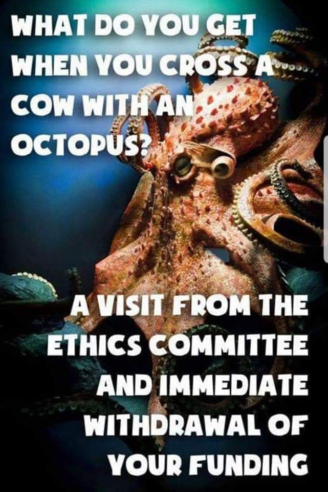 Surf and turf - 9GAG