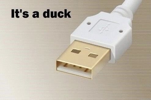 His name is Ronald, Ronald Duck - 9GAG