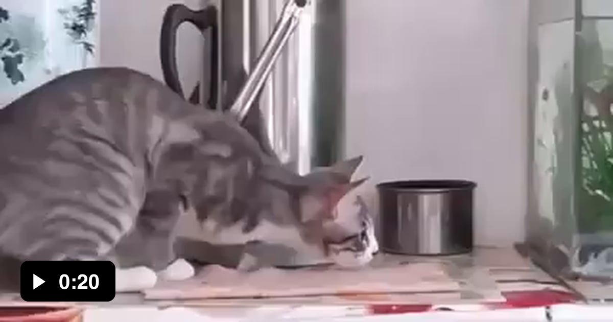 Nothing to see here. Nothing happened. - 9GAG