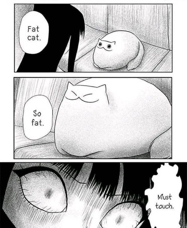 Please do not the cat - 9GAG