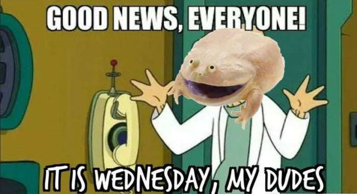 It's Wednesday my dudes. 🐸 - 9GAG