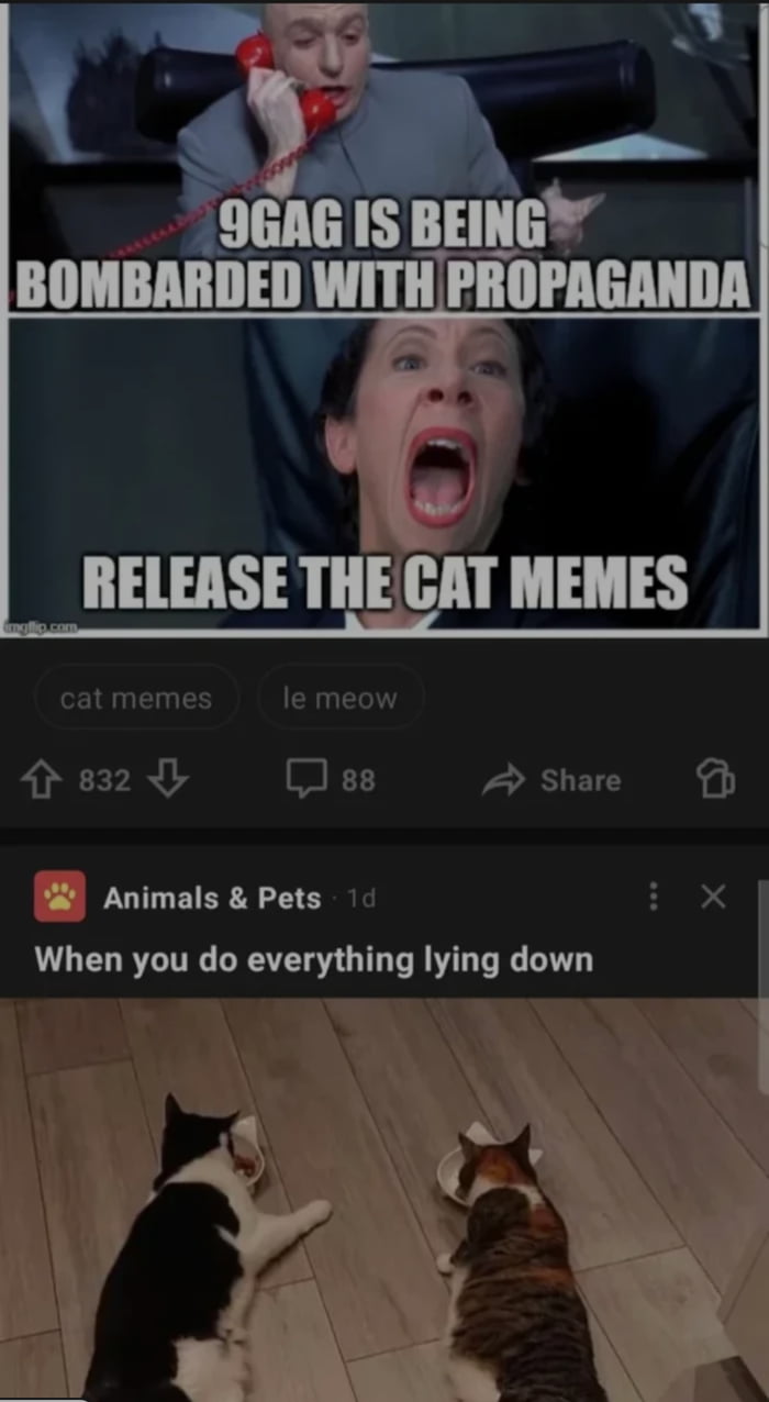 Guys, it's working! - 9GAG