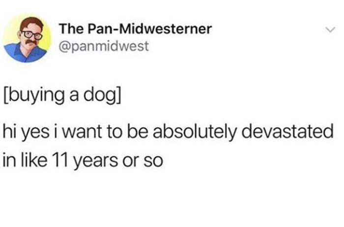 Aww-wait, AWWW. - 9GAG