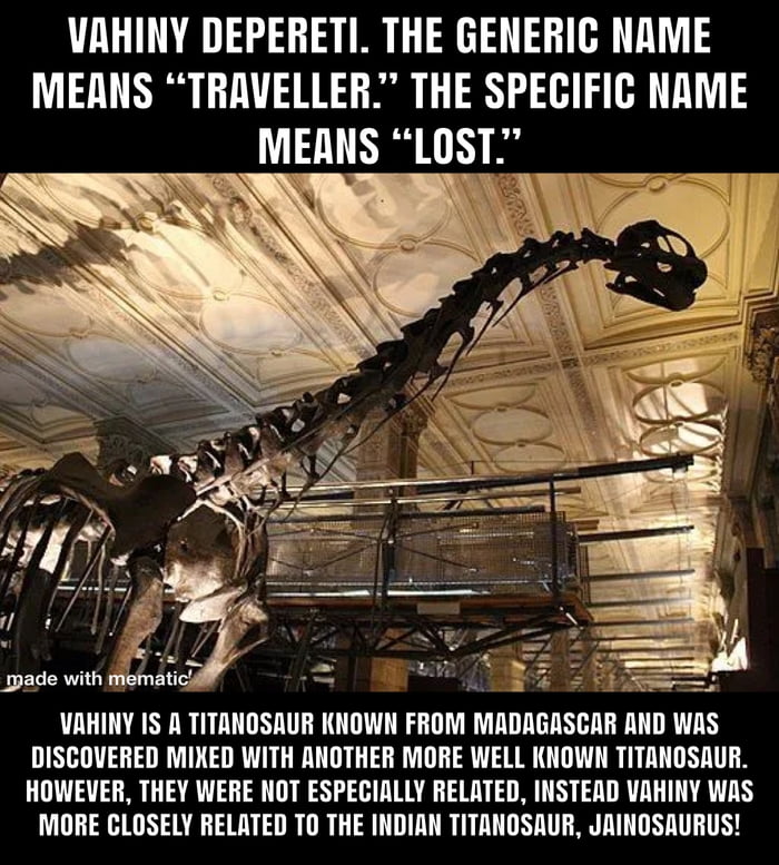 Picture not mine. Vahiny fossil material is sparse and incredibly ...