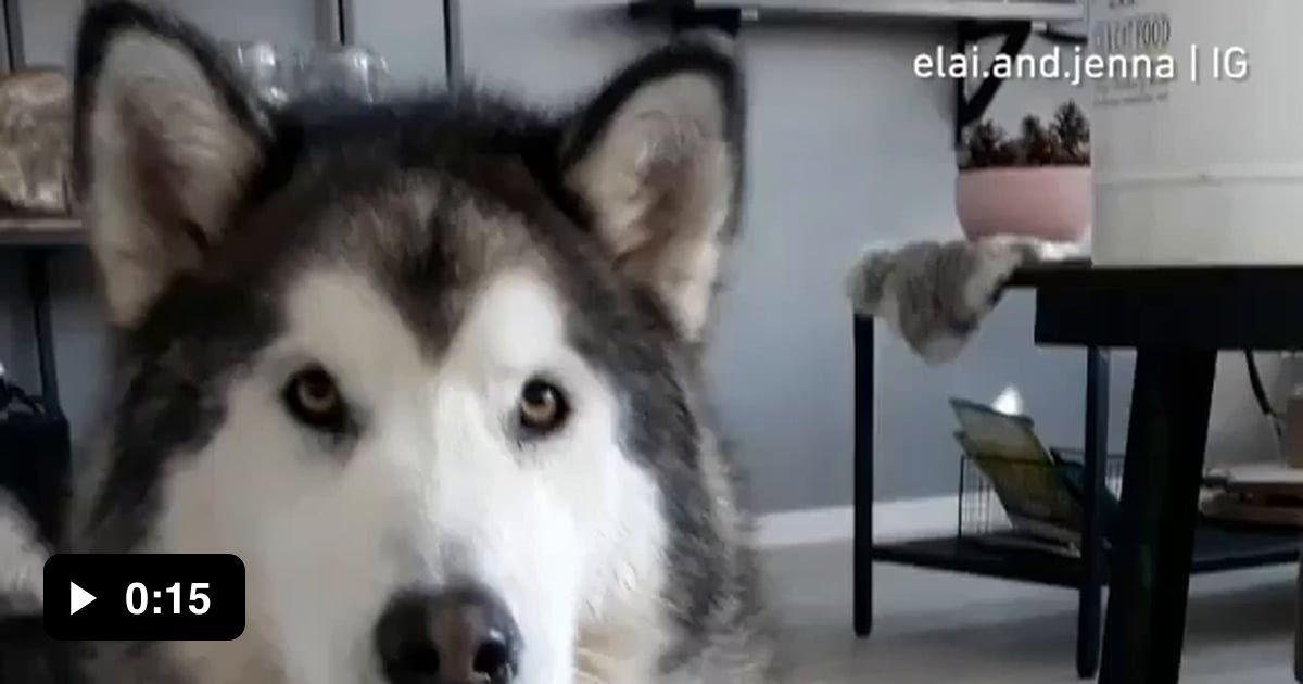 If you’re happy and you know it just say woo - 9GAG