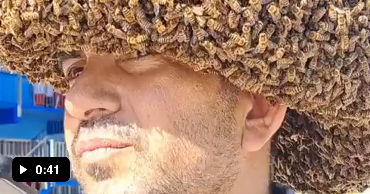 Beehaw, Sovereign of the colony. - 9GAG