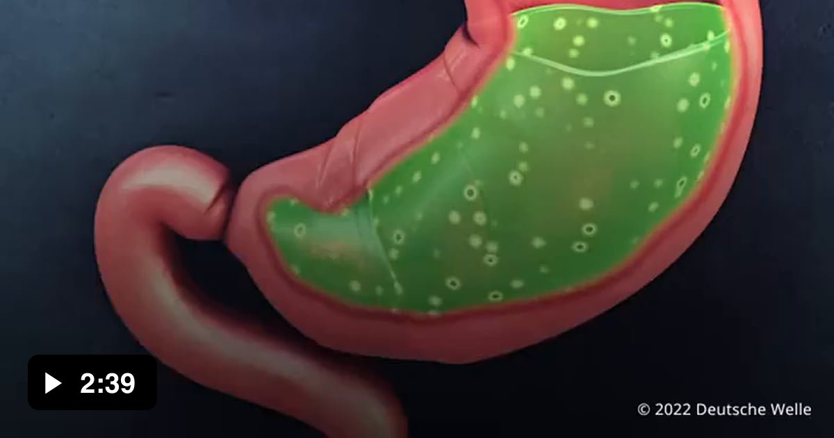 How the stomach works - 9GAG