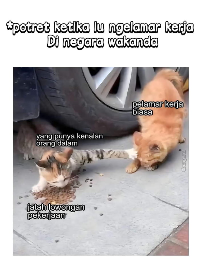 Lebih terjamin rekrut lewat referensi dr pd screening ampe bejibun - 9GAG