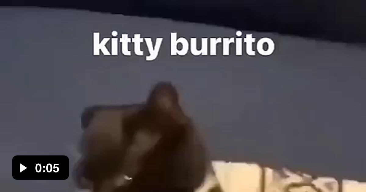 Kitty burrito - 9GAG