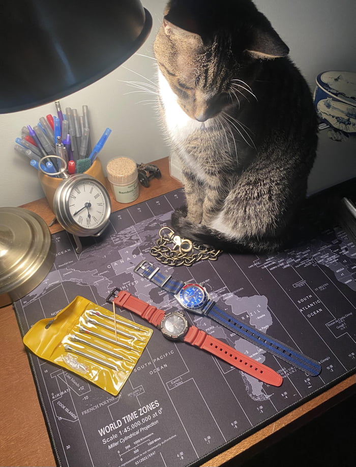 Watchmaking apprentice - 9GAG