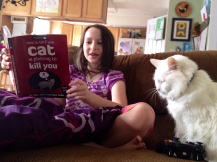 On to you kitty! - 9GAG