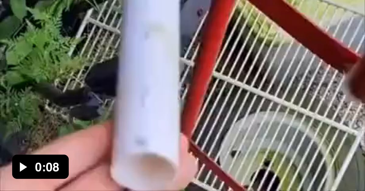You can see tomorrow through this tube - 9GAG