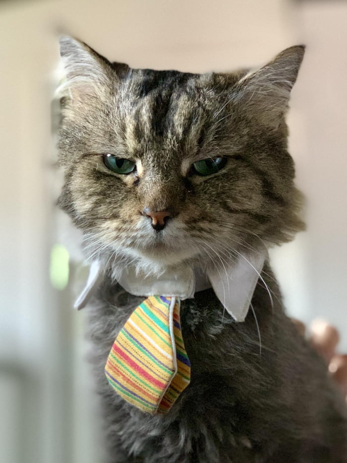 We need to talk about your TPS reports. - 9GAG