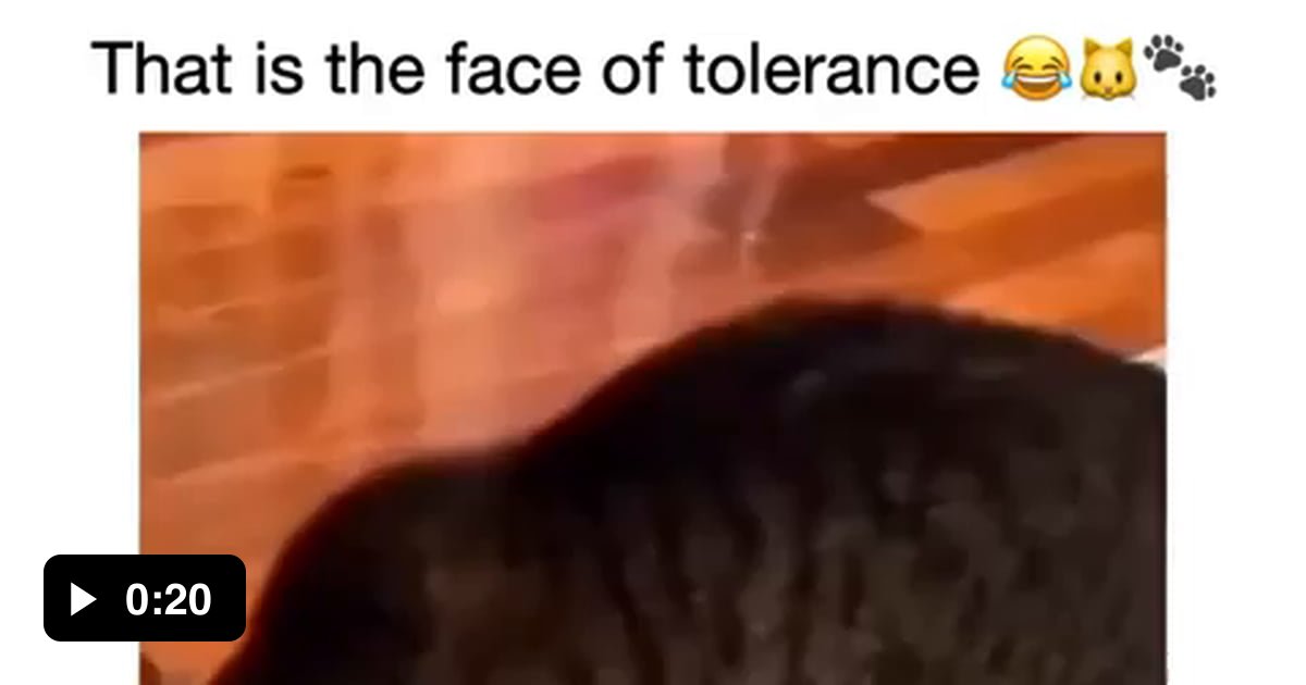 Yes! That is the face of tolerance!!!😑😩😮💨😅😅😅 - 9GAG