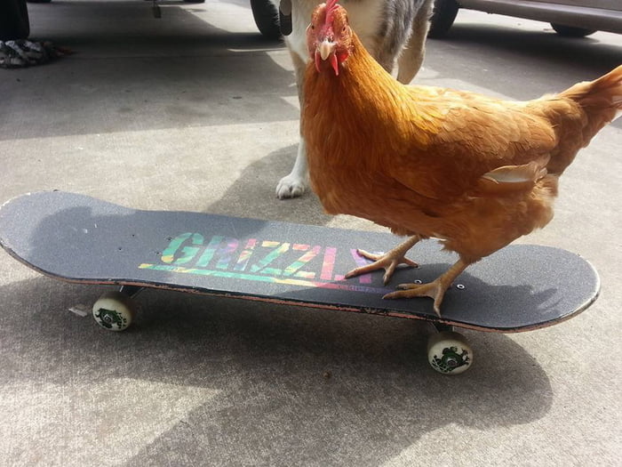 Do a kick flip - 9GAG