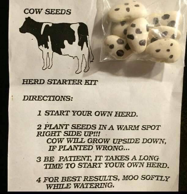 Cow ‘planting’ 101 - 9GAG