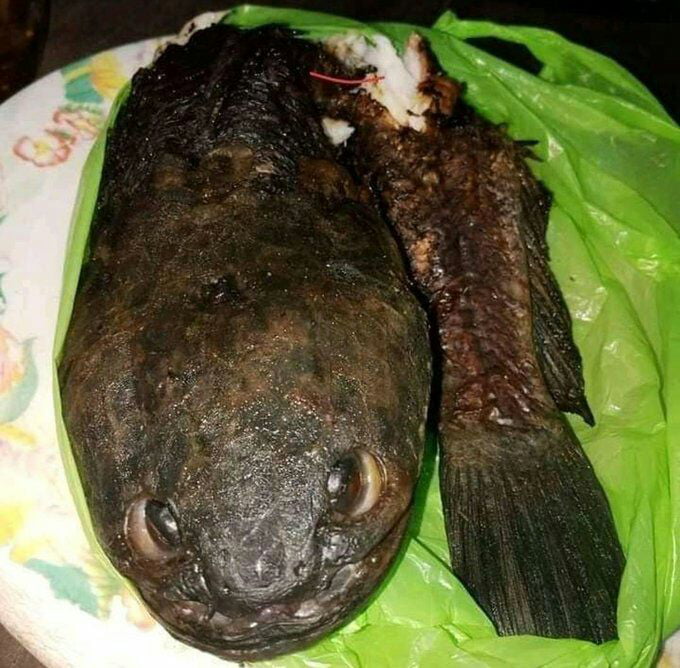 Very special menu: How to Fry Your Dragon - 9GAG