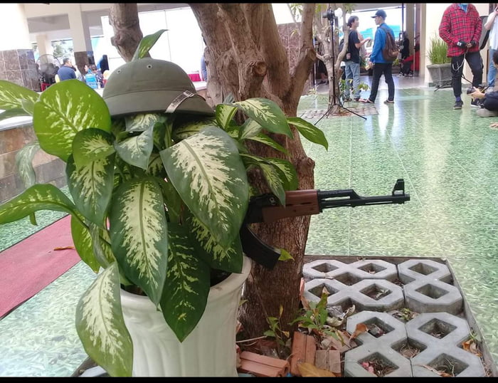 A Vietcong soldier stealthily hides in a bush, 1968 (Colorized) - 9GAG