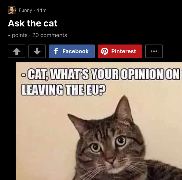 What are points - 9GAG