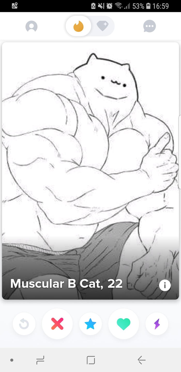 Damn... Bongo cat is ripped and single - 9GAG