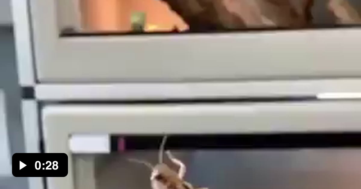 Damn!!! So close ! - 9GAG