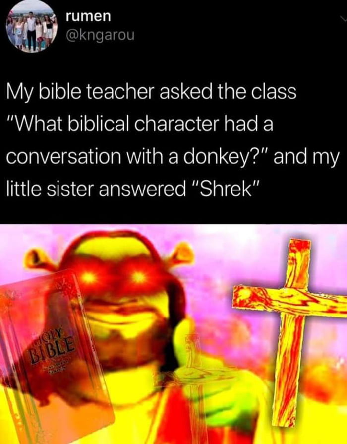 Damn right it's Shrek! Who you expecting it to be? - 9GAG