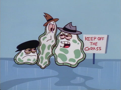 Everyone around me are afraid of the Corona virus and all I can think ...